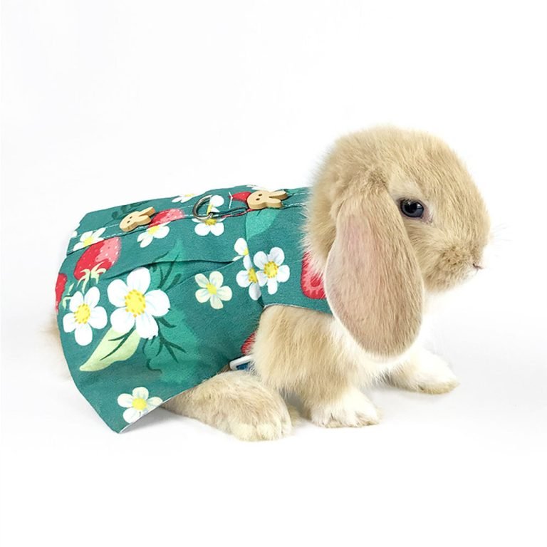 Rabbit Clothes - Rabbit World
